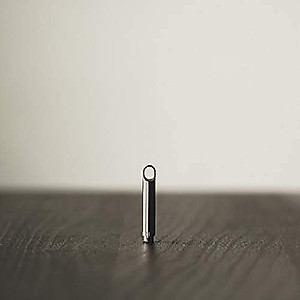 DAILYCARRYCO. TiPick Titanium Toothpick Metal Toothpick Keychain Holder Portable Travel Toothpick (Polished)