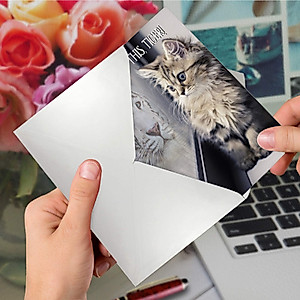 The Best Card Company - Inspirational Encouragement Card with Envelope - Cute Cat, Tiger Animal Motivation, Friendship - Aspirations C7076JFRG