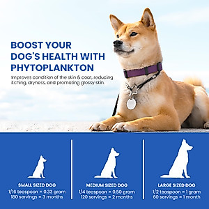 Mr. Ros Marine Phytoplankton: Supercharge Your Dog's Health (2.12 oz / 60 g). Essential Nutrients for Shiny Coat, Strong Joints & Overall Wellbeing