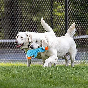 MANOPAWS 3 Pack Squeaky Dog Toys,Duck Crinkle Plush Dog Toys for Aggressive Chewers,Interactive Dog Toys for Puppy Small, Medium and Large Dogs Teething/Entertaining/Reduce Boredom