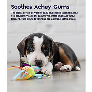 Petstages Cool Teething Stick