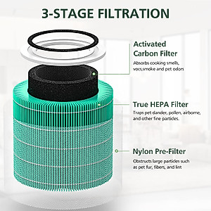 Core 300 Toxin Absorber Replacement Filter for LEVOIT Core 300 Core300-P Core 300S Core 300S-P VortexAir Air Purifier, 3-in-1 HEPA and Activated Carbon, Core 300-RF-TX, 2 Pack, Green
