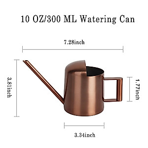 Watering Cans, 10oz/300ml Stainless Steel Long Spout Small Watering Sprinkling Pot, Indoor Outdoor Garden Flower Succulents Plant Watering Cans, Stylish Gardening Decoration(Bronze)