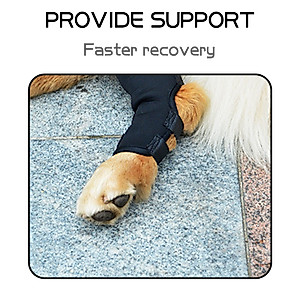 Dog Leg Brace for Small or Short Legs Canine Rear Hock Support, Helps Promote Healing and Prevents Injuries and Sprains Helps with Loss of Stability Caused by Arthritis