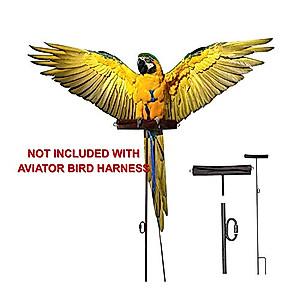 GFHFG Pet Bird Harness and Leash,Adjustable Parrot Bird Harness Leash - Pet Anti-Bite Rope Harness and Leash(M)