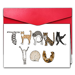 GYYsweetus Charming Cats Thank You Card, Original Lovely Card for Cat Lovers, Adorable Meow Gift for Best Friend Thank You So Much Thanksgiving Day Card