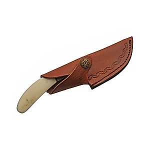 Curved Stainless Steel Blade Bone/Stag 8 inch Hunting Knife