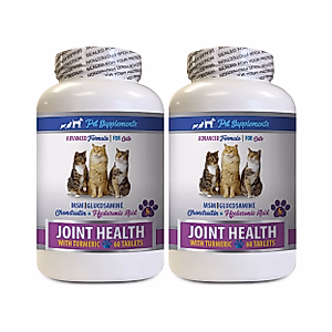 cat Joint Supplements Liquid - Cats Joint Health with Turmeric - MSM - Natural Support for Hip and Joints - cat Joint Supplement - 2 Bottles (120 Tablets)