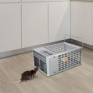 Moclever Humane Rat Trap Live Rat Traps Reusable Metal Rat Rodent Cage Catch Release Continuous Capture Trap 2 Doors Indoor Outdoor Pet Children Safe-11.4 * 7.4 * 5.1in