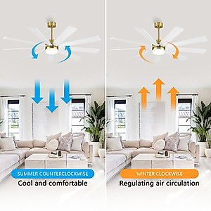 LEDLUX 65" DC Motor Ceiling Fan with Light, 6-Speed Remote Control, Reversible Motor, Modern 9 Blades Ceiling Fan with 4.5"/12" Downrods for Home or Commercial White/Gold