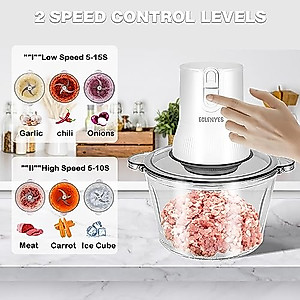 Electric Food Processor, 2L Meat Grinder with 2 Speed Food Chopper & Vegetable Chopper, 8 Cup with Powerful 350W Food Chopper for Vegetables, Fruits, Meat, Nuts, Beans, etc（4 Sharp Blades）