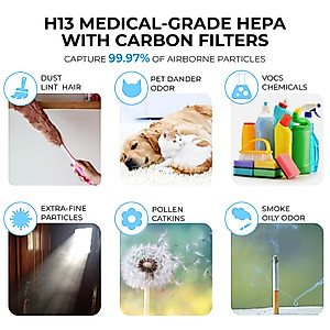 Genuine CleanForce Multi-Integrated H13 HEPA Replacement Air Filter for MEGA1000 Air Purifier, 2 PCS in Pack, filters Dust, Somke, Lint, Pet Hair Dander, Odors, etc.