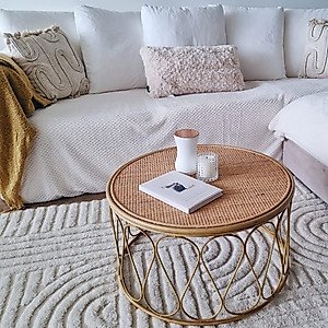 adAqua Refillable Moisture Absorber-8oz’s Packed in Pod. Fragrance Free Moisture Remover for Storage, Rooms, and Basement – Calm White.