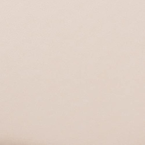 Baxton Studio Delphina Mid-Century Modern Cream Fabric and Dark Brown Finished Wood 2-Piece Dining Chair Set