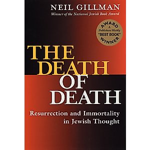 The Death of Death (Resurrection and Immortality in Jewish Thought)