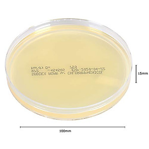 Sabdex (Sabouraud Dextrose) Agar with Chloramphenicol, Deep Fill, 15x100mm Plate, Order by The Package of 10, by Hardy Diagnostics