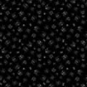 Generic QT Fabrics Creepsville by Morris Creative Group 30207 J Black Spider Toss Fabric, Mixed