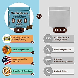 Natural Dog Company Multivitamin Chews and Ultra Omega Oil for Active Dogs - Nutrient-Rich Dog Treats with Omega-3 and Essential Vitamins, Supports Cognitive Health and Overall Vitality for All Breeds