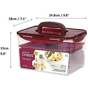 LockandLock Press Plate Leakproof Airtight Pickle Kimchi Container 4.5L / 152oz BPA Free One Handle Clear Body Maintain Fresher Taste