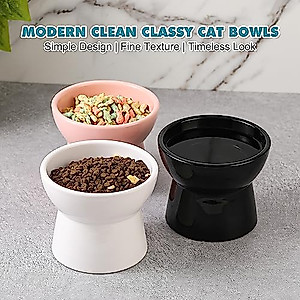 Elevated Cat Water Bowl - Raised Ceramic Cat Food Dish - Anti Vomiting - Extra Wide Whisker Friendly - Microwave & Dishwasher Safe - 6.1 inch - 18.5 oz - 550 ml