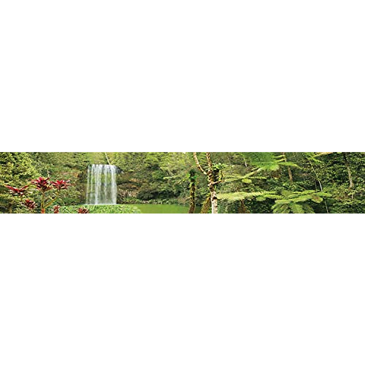 Reptile Habitat Background; Rain Forest, Waterfall, Red Leaves, for 48Lx24Wx18H Terrarium, 3-Sided Wraparound