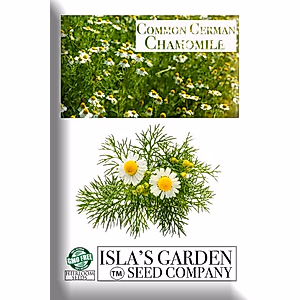 "Common German Chamomile" Flower/Herb Seeds for Planting, 1000+ Seeds Per Packet, (Isla's Garden Seeds), Non GMO & Heirloom Seeds, Botanical Name: Matricaria chamomilla, Great Herb Garden Gift