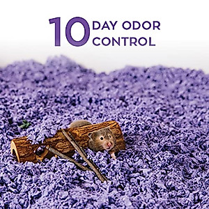 carefresh 99% Dust-Free Purple Natural Paper Small Pet Bedding with Odor Control, 23 L