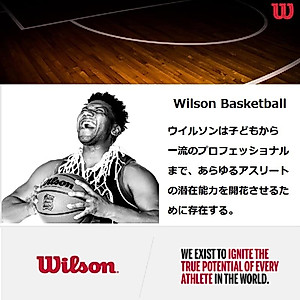 Wilson Evolution Official Size Game Basketball