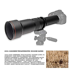 Canon EOS 5D Mark IV DSLR Camera 5 Lens Professional Bundle with Canon 24-105mm USM, 50mm f/1.8 & 75-300mm Lenses + 500mm & 650-1300mm Preset Telephoto Summer Special Wildlife Bundle