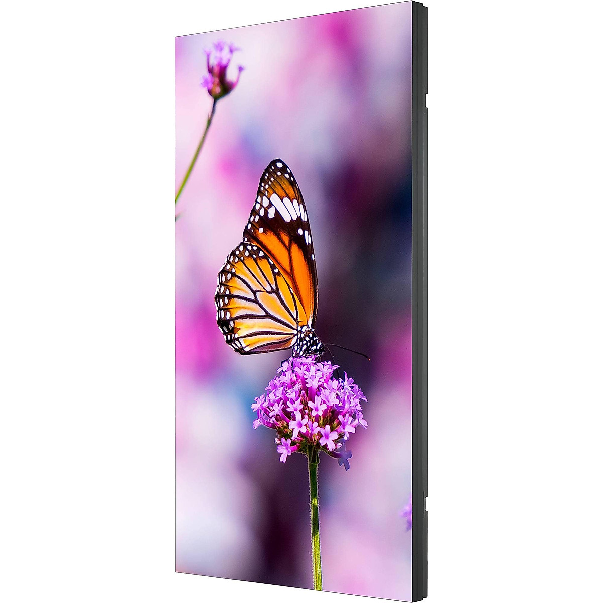 NEC MultiSync UN552V 55" 16:9 Full HD S-IPS Ultra Narrow Bezel Video Wall LCD LED Display with Direct LED Backlights, 3.5mm Bezel Gap HDMI/DP Daisy Chain, SpectraView Engine