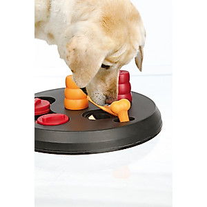 Strategie Spiel Flip Board for Dogs