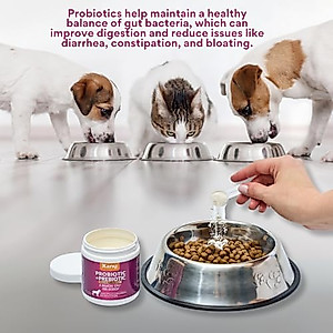 Kanu Pet Probiotic + Prebiotic Dog Supplement, 5 Billion CFU Per Scoop, 7 Strains, with Carrot & Pumpkin