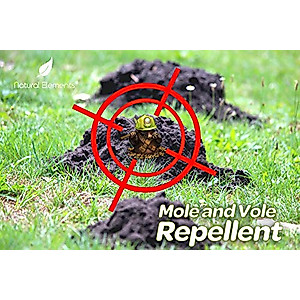 Natural Elements Mole and Vole Repellent | 100% Castor Oil | Pet Safe and Non Toxic | Food Grade | 128 oz (1 Gallon)