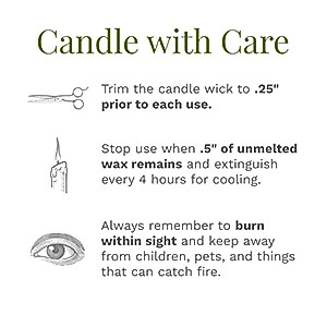 Candle-Lite Everyday Scented Balsam Forest 3-Wick Jar Candle, 10 oz, Green