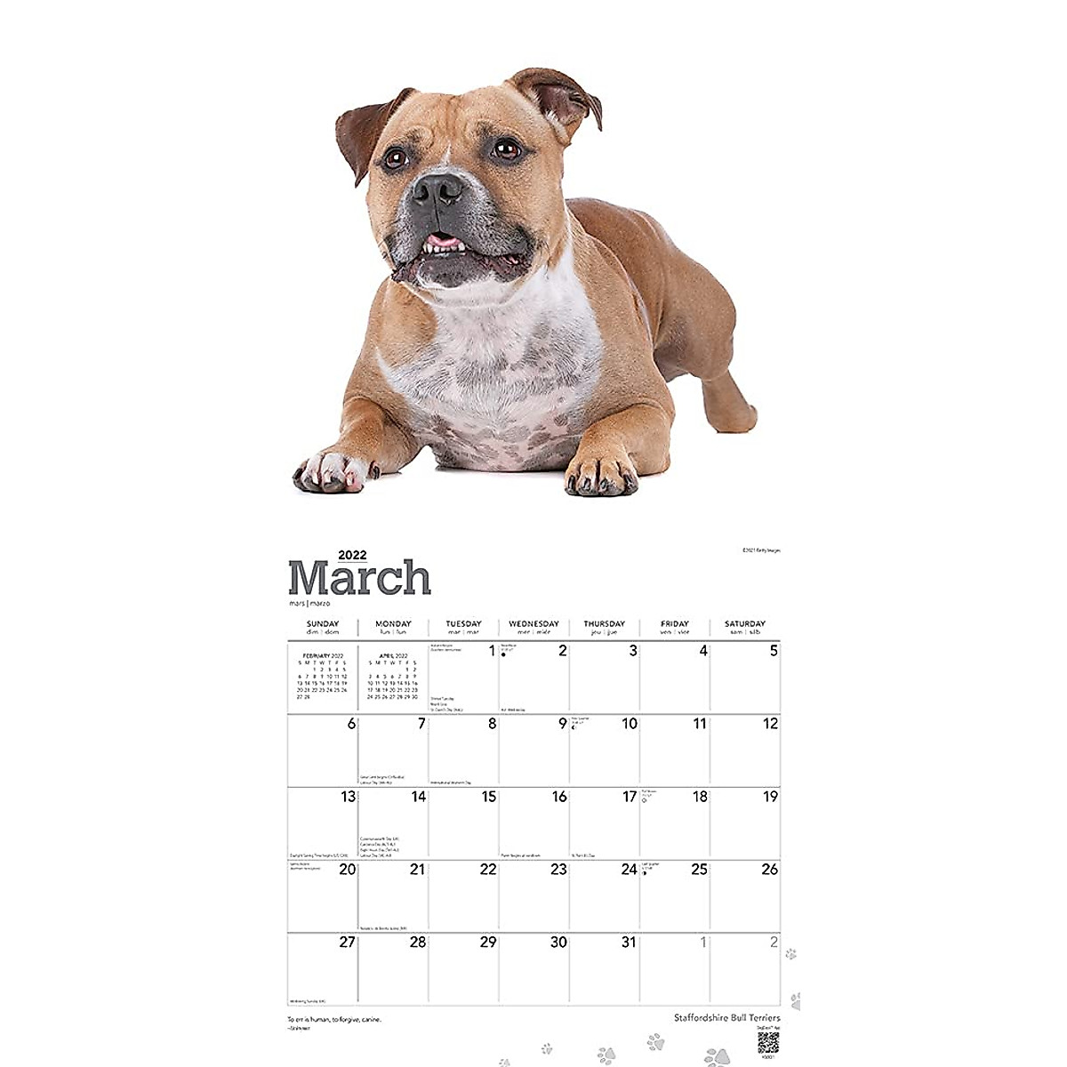 Staffordshire Bull Terriers 2022 12 x 12 Inch Monthly Square Wall Calendar, Animals Dog Breeds DogDays