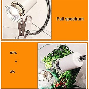 MD Lighting 6-Pack Reptile Heat Lamp Bulb, E26/E27 75 Watt Full Spectrum Sun Light Lamp for Bearde Dragon, Lizard, Turtle, Gecko & More