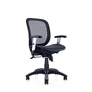 ErgoMax Lumbar Support, Mid-Back Mesh Adjustable Armrests, Home Office Ergonomic Chair, 42 Inch Max Height, Black
