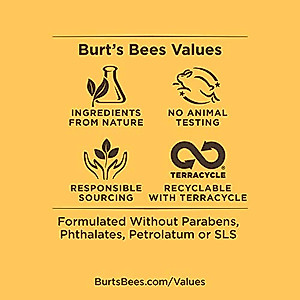 Burt's Bees Lip Balm Easter Basket Stuffers, Moisturizing Lip Shimmer for Women, With Vitamin E & Coconut Oil, 100% Natural, Peony, 0.09 Ounce (4 Pack)
