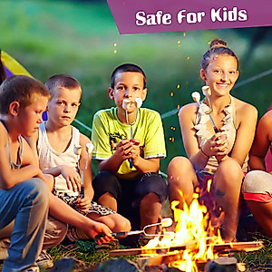 SANTAMADE Marshmallow Roasting Sticks Set of 5 -Telescoping Long Smores Sticks for Fire Pit, Hot Dog Sticks for Campfire Grill Bonfire Party Supplies -With Santa Storage Sack