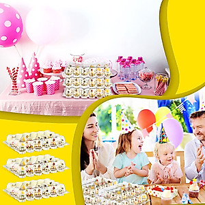 24 Pack Mini Cupcake Containers, 24 Count, Disposable Plastic Small Cupcake Boxes Bulk, High Dome Lid Cupcake Holder Cupcake Carriers for Transporting Small Cupcakes with Tall Icing