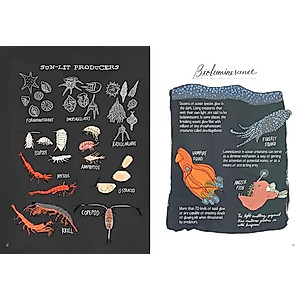 Ocean Anatomy: The Curious Parts & Pieces of the World under the Sea