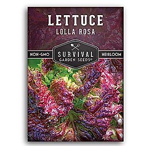 Survival Garden Seeds - Lolla Rosa Lettuce Seed for Planting - Packet with Instructions to Plant and Grow Red and Green Leaved Lettuce in Your Home Vegetable Garden - Non-GMO Heirloom Variety