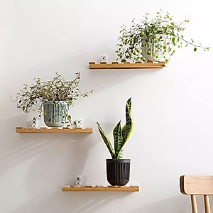 PDGJG Living Room Decoration Frame Wall Hanging Flower Stand Bedroom Wall Partition Potted Plant Shelf