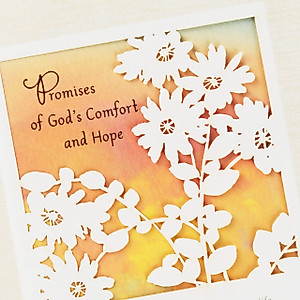 Hallmark DaySpring Religious Sympathy Card (God's Comfort and Hope) (5RZA1034)