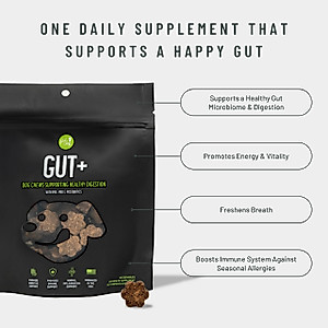 Get Joy Gut+ Probiotic Chews for Dogs, 90 Soft Chews, Chicken Flavor, Supports Digestive Health & Immunity, with Pre, Pro & Postbiotics, PhD Animal Nutritionist Formulated, Produced in USA
