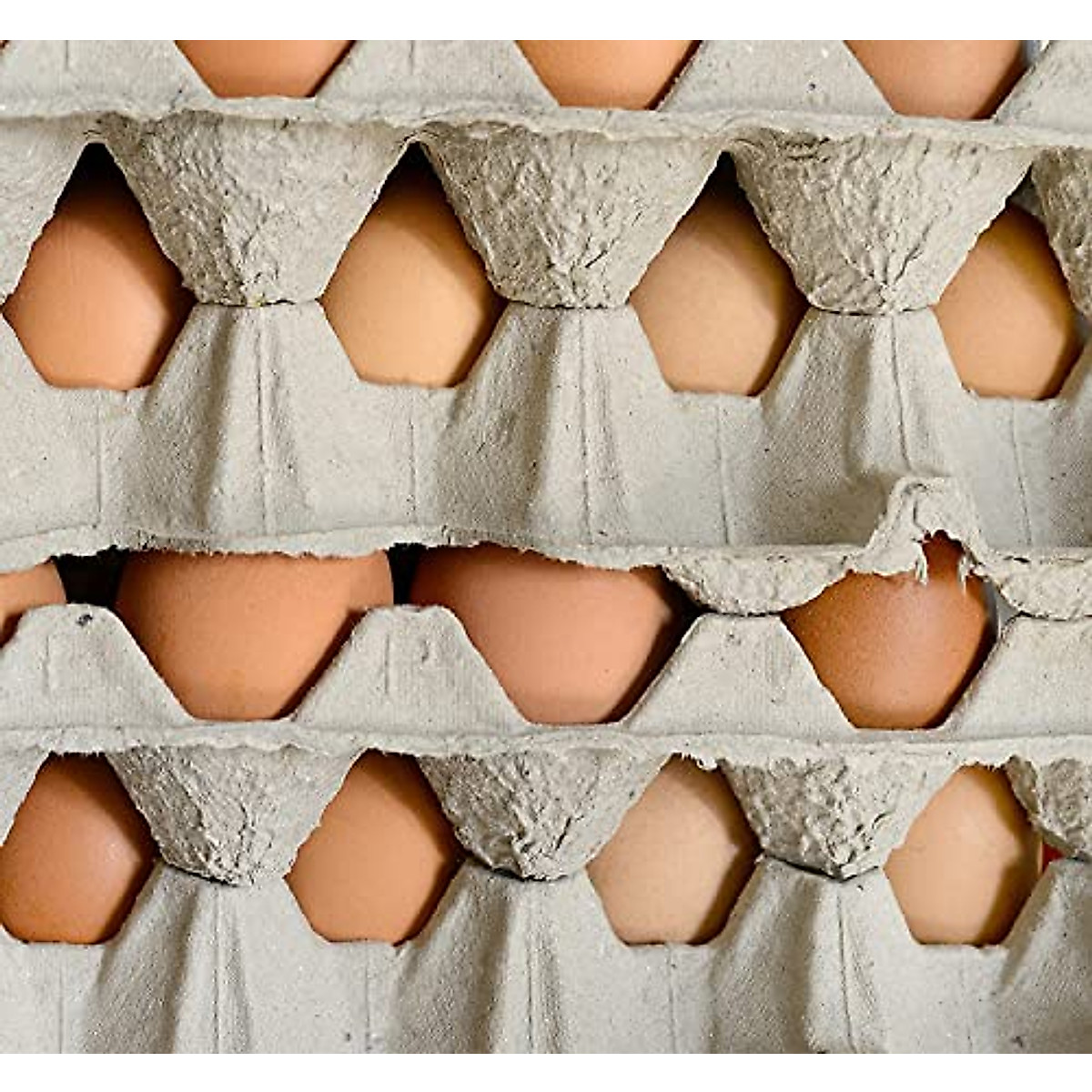 Cornucopia 30-Count Egg Flats (18 Trays); Biodegradable Recycled Material Chicken Egg Cartons, Each Holds 30 Eggs