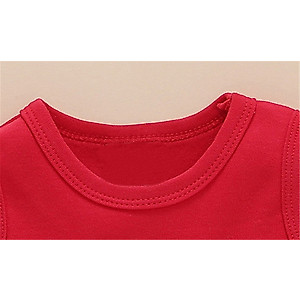 Niyage Baby Girls Clothes Dress Headband Shoes 3 Pcs Set Flowers Party Outfit Floral Dress-Red 0-3 Months