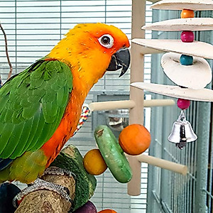 PATKAW Bird Cuttlebone Parakeet Cuttlebone Cuttlebone for Birds cuttlebone for Birds cuttlebone cuttlebone for Tortoise Parakeets Parrot Cuddle Parakeet Food Parakeet Cuttlebone