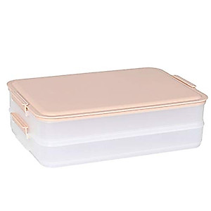 HEMOTON Plastic Food Storage Containers Dumpling Box Food Freezer Box Keep Fruits Vegetables Meat And More Kitche Fridge Freezer (Meat meal)