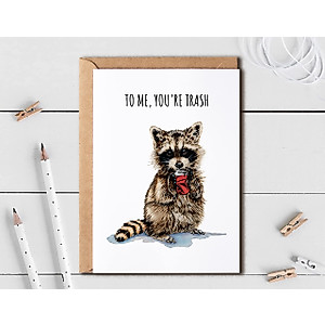 EruditeGifts To Me You're Trash - Funny Birthday Card - Birthday Card For Friend - Birthday Card For Him Or Her - Toronto Card - Funny Raccoon Card